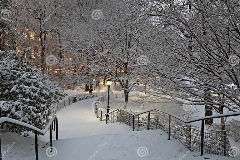Central Park in snow storm stock photo. Image of city - 18681614