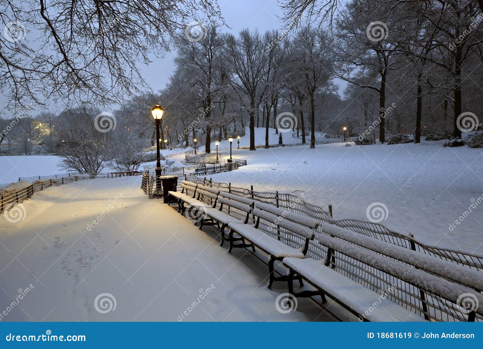 Central Park in snow storm stock image. Image of snow - 18681619