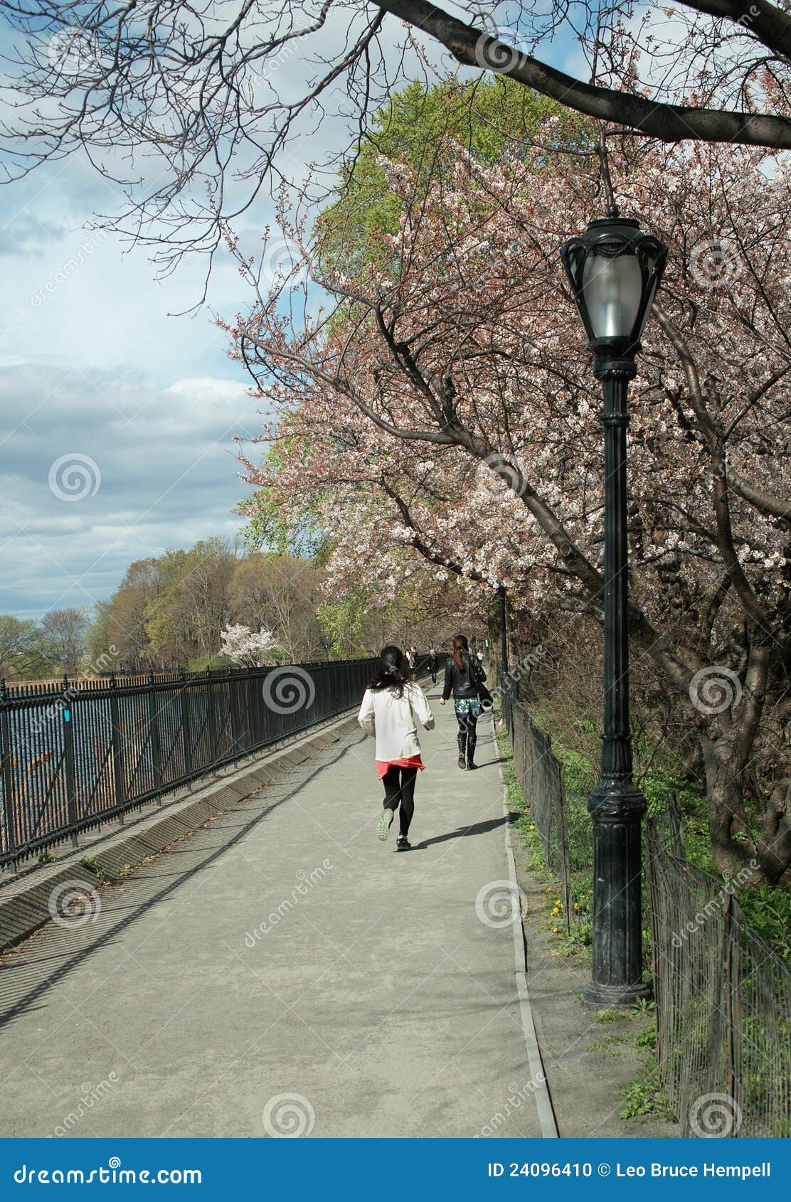Central Park Spring Jogging Path NYC USA Editorial Image - Image of ...