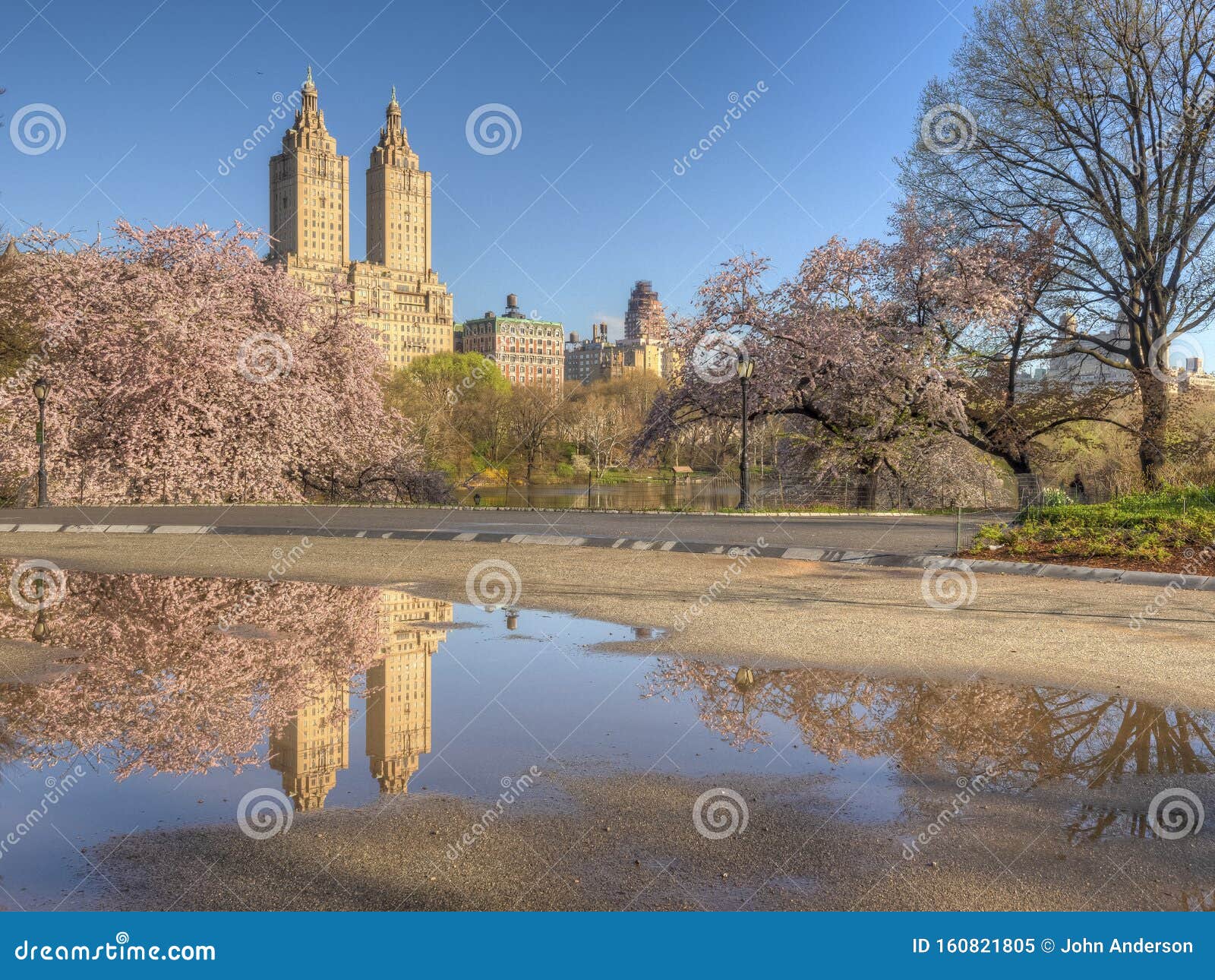Central Park in spring stock image. Image of spring - 160821805