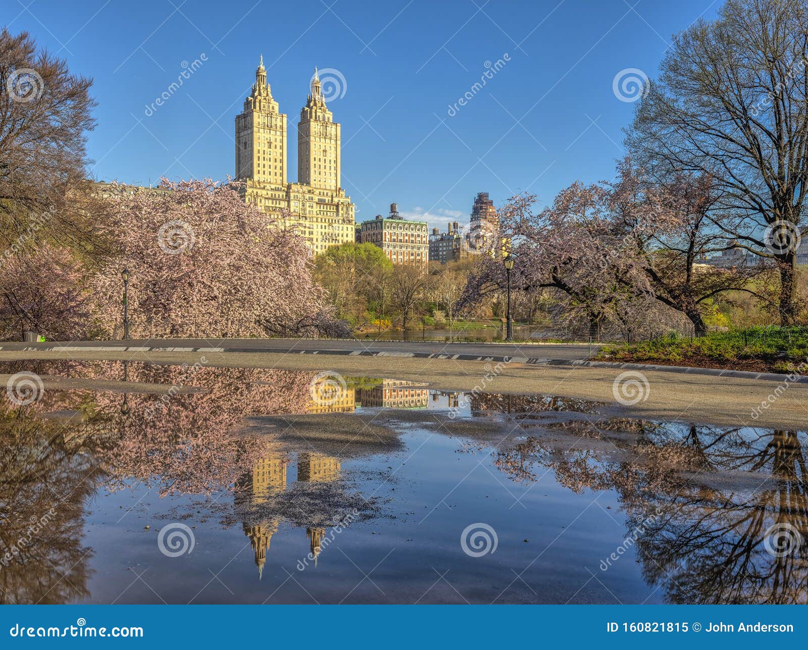 Central Park in spring stock image. Image of landscape - 160821815