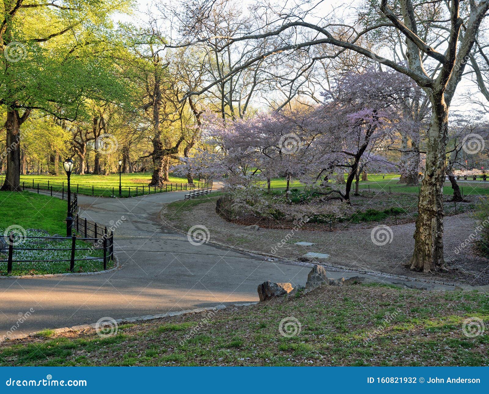 Central Park in spring stock photo. Image of city, spring - 160821932