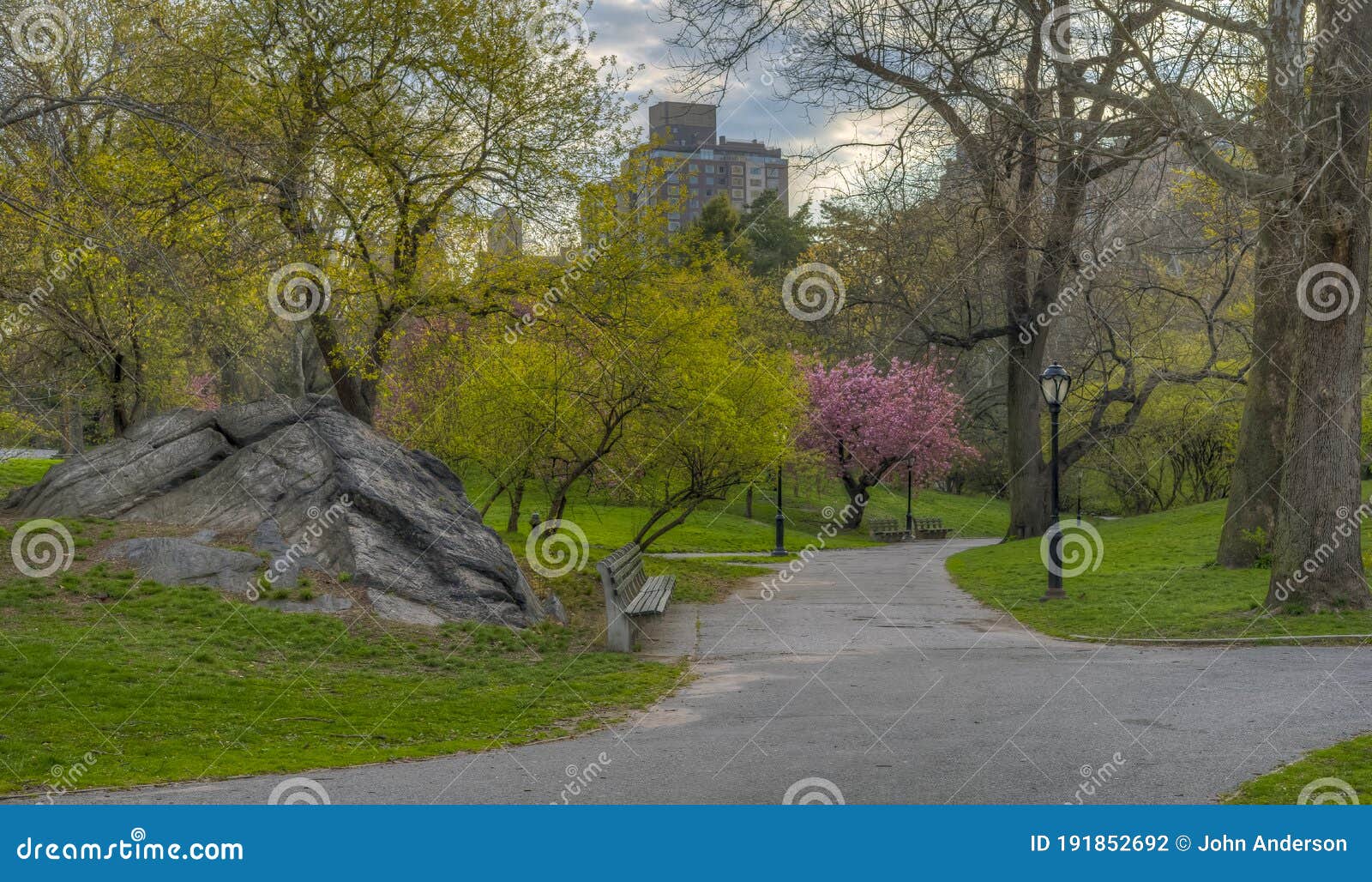 Central Park in spring stock photo. Image of plants - 191852692