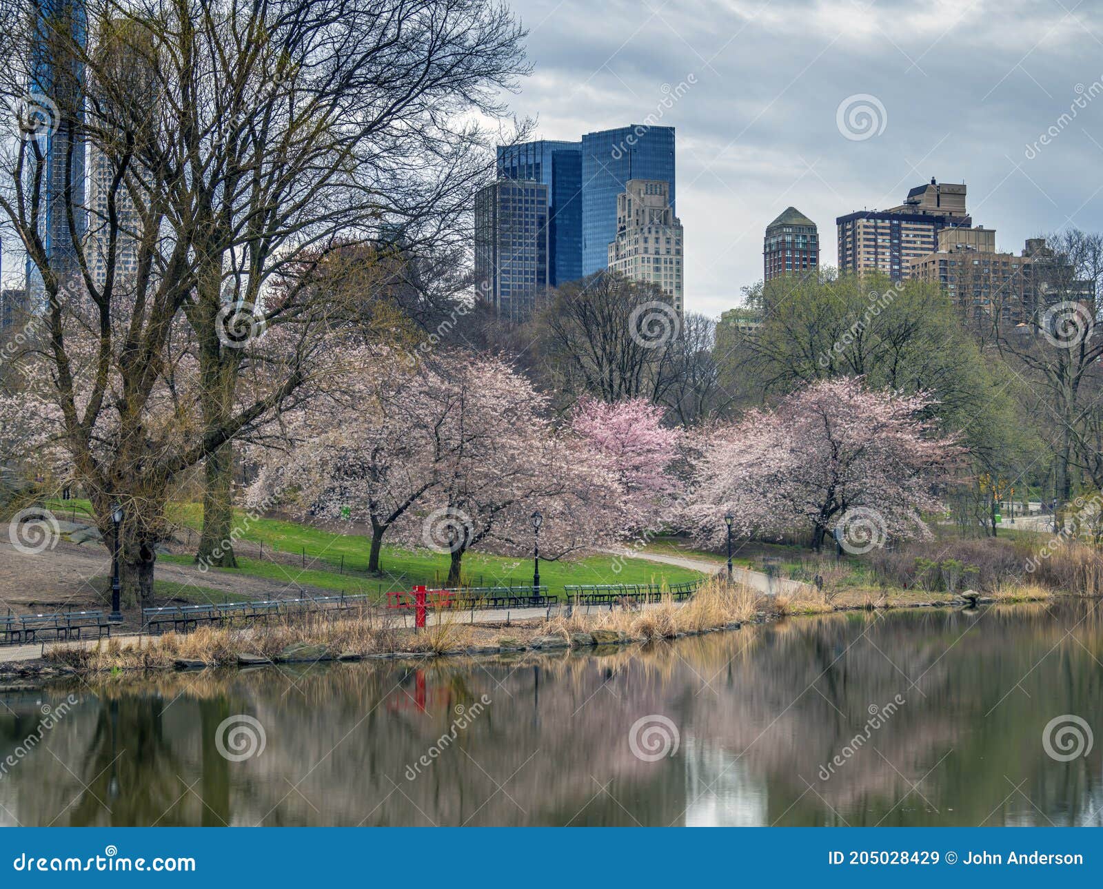 Central Park in spring stock image. Image of city, york - 205028429