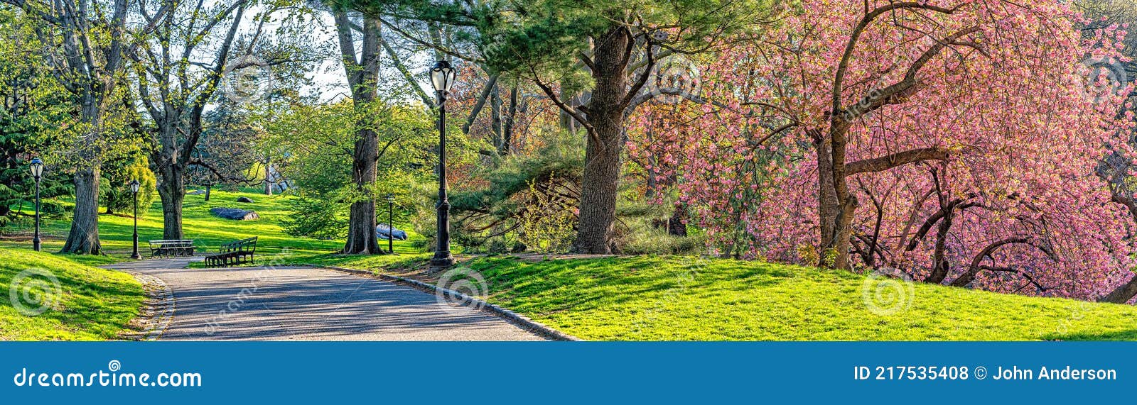 Central Park in spring stock photo. Image of central - 217535408