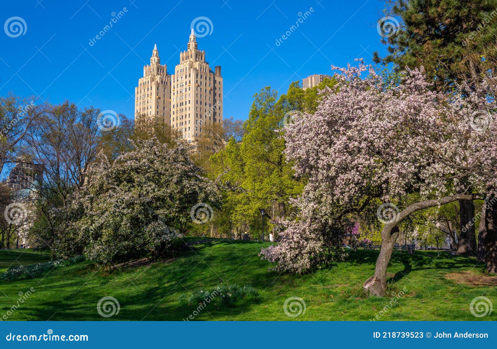 Central Park in spring stock image. Image of park, nature - 218739523