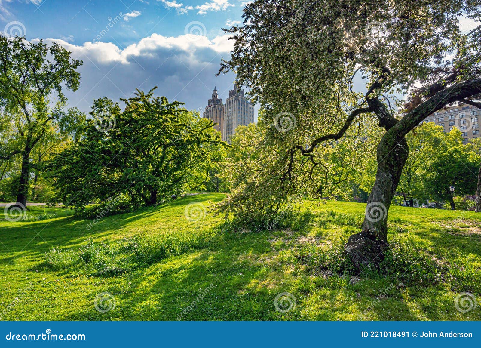 Central Park in spring stock image. Image of island - 221018491