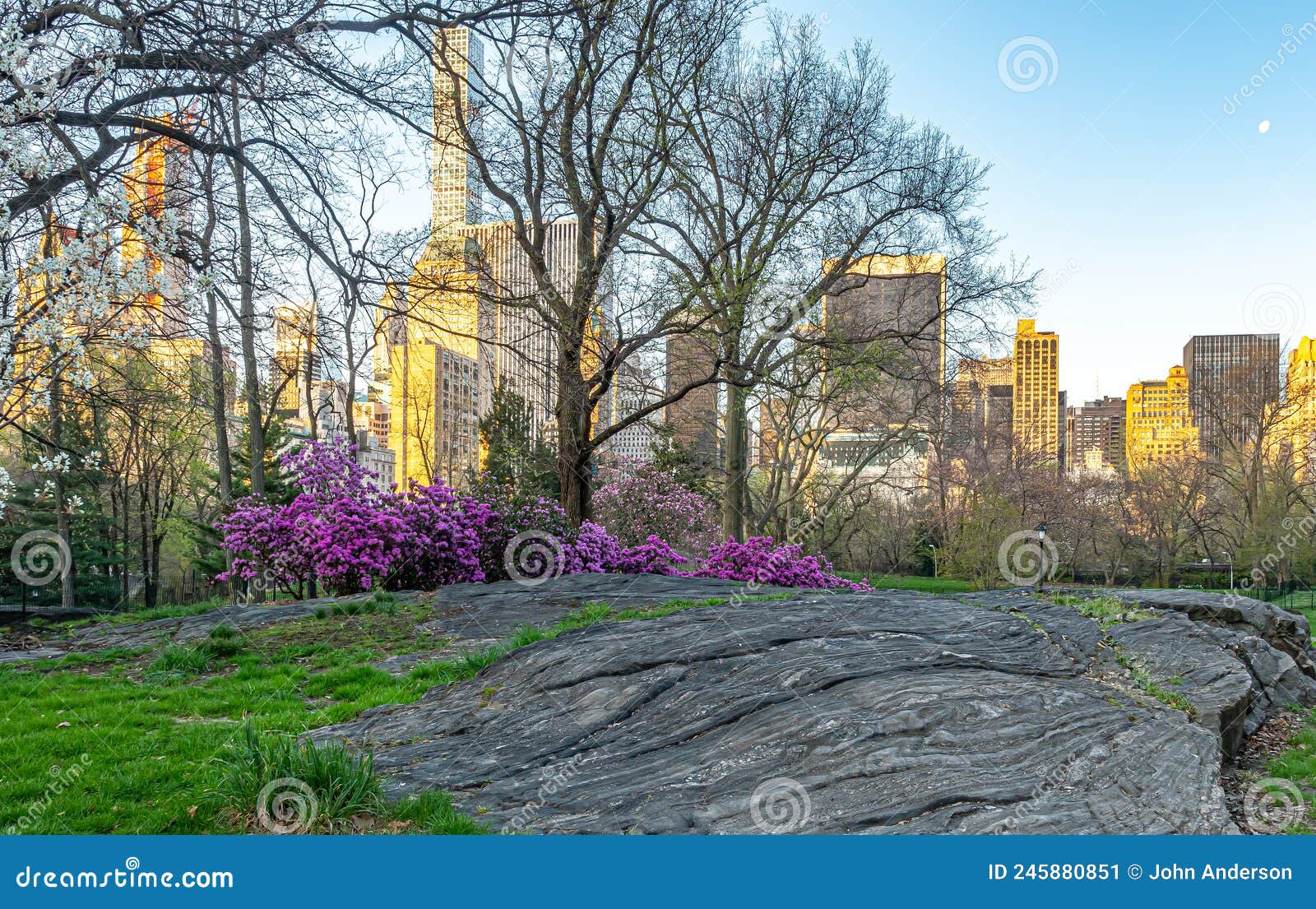 Central Park in spring stock image. Image of park, cityscape - 245880851