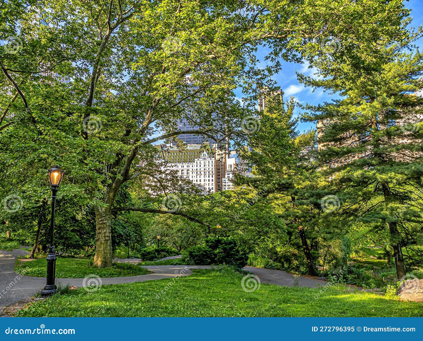 Central Park in spring stock image. Image of nature - 272796395
