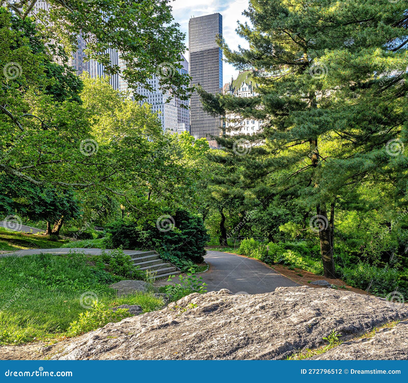 Central Park in spring stock photo. Image of park, season - 272796512