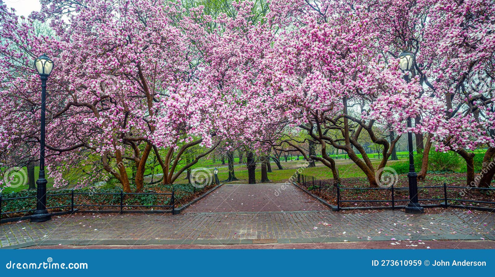 Central Park in spring stock image. Image of garden - 273610959