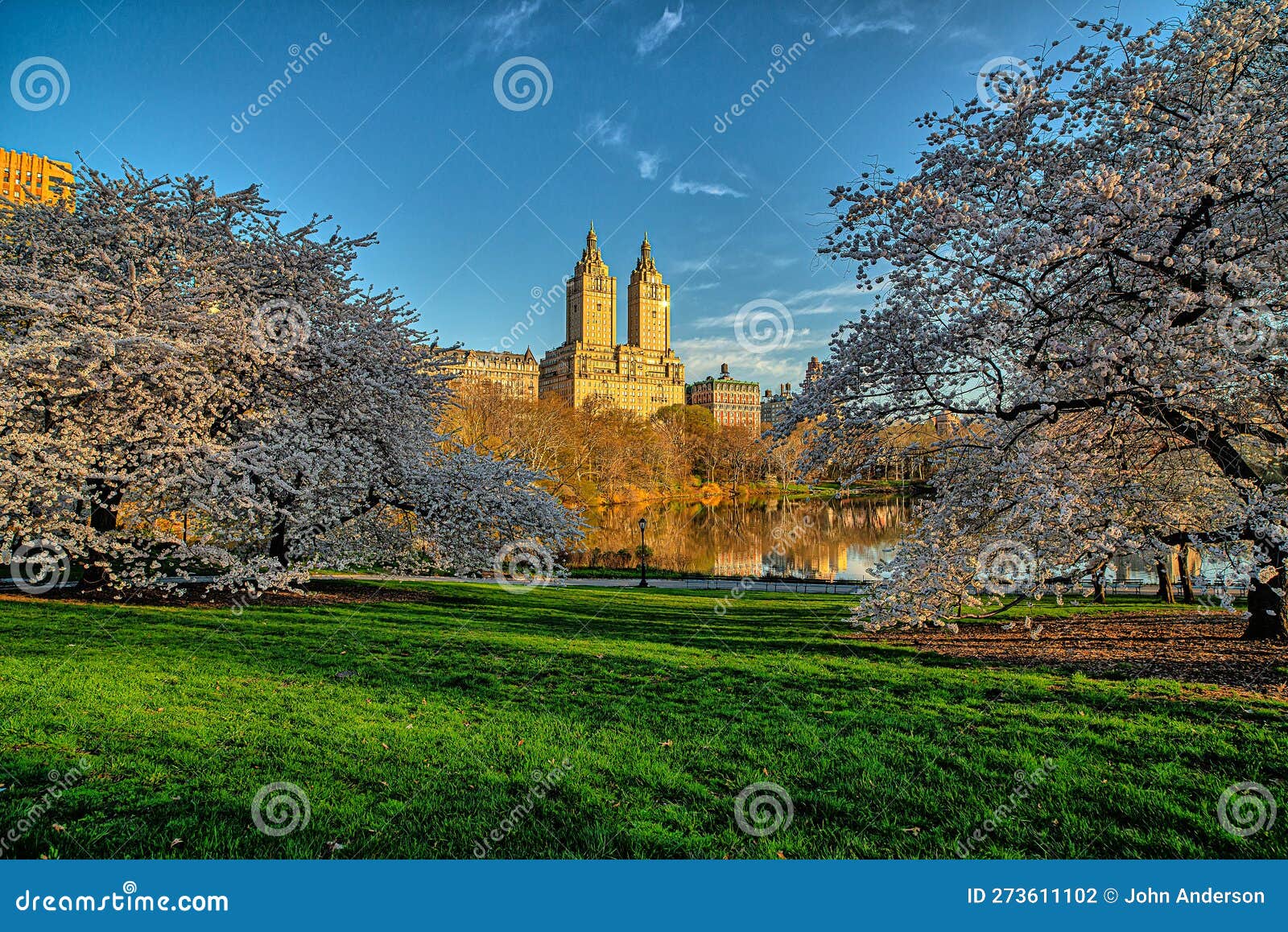 Central Park in spring stock photo. Image of cityscape - 273611102