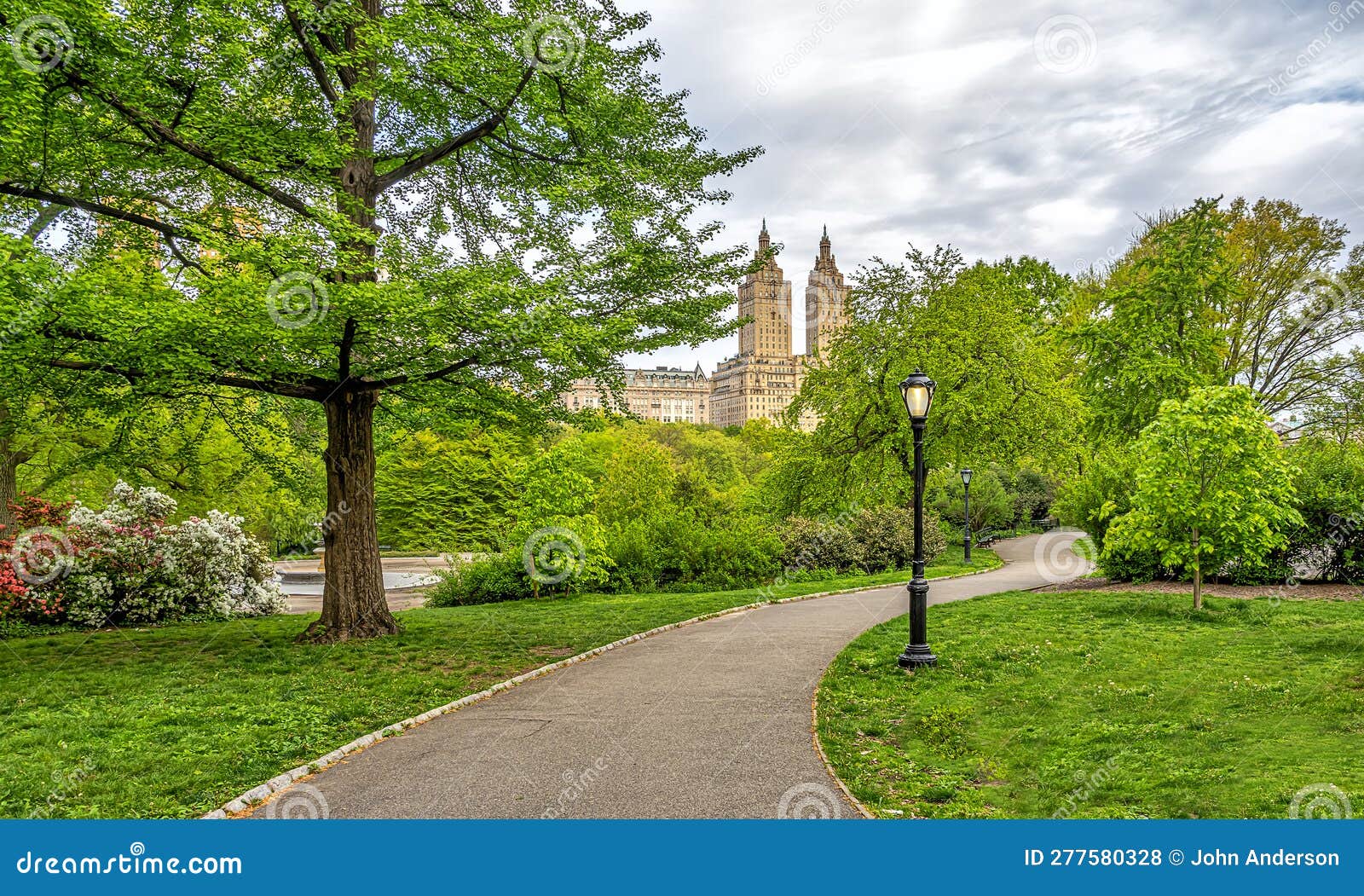 Central Park in spring stock photo. Image of central - 277580328