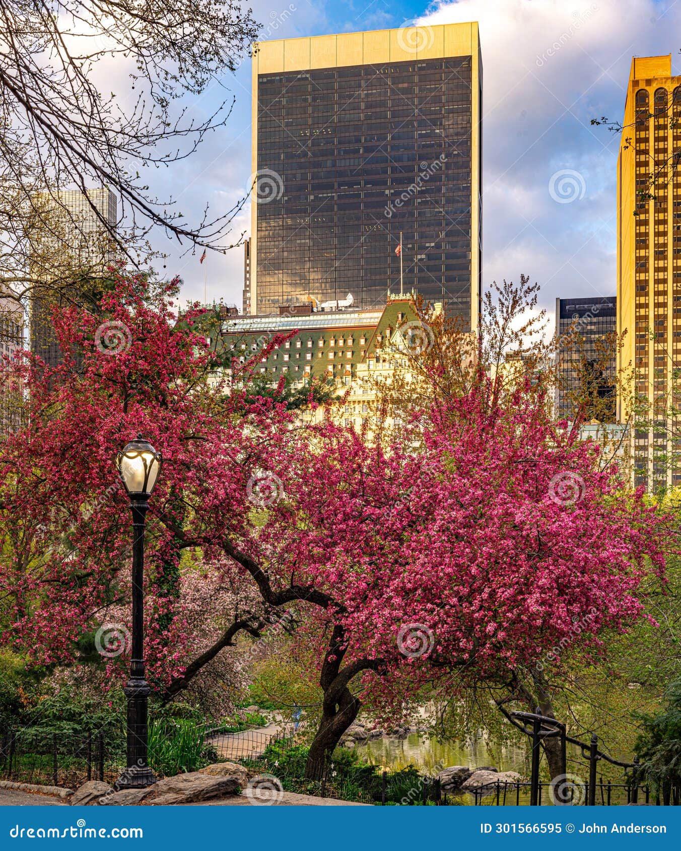 Central Park in spring stock image. Image of garden - 301566595