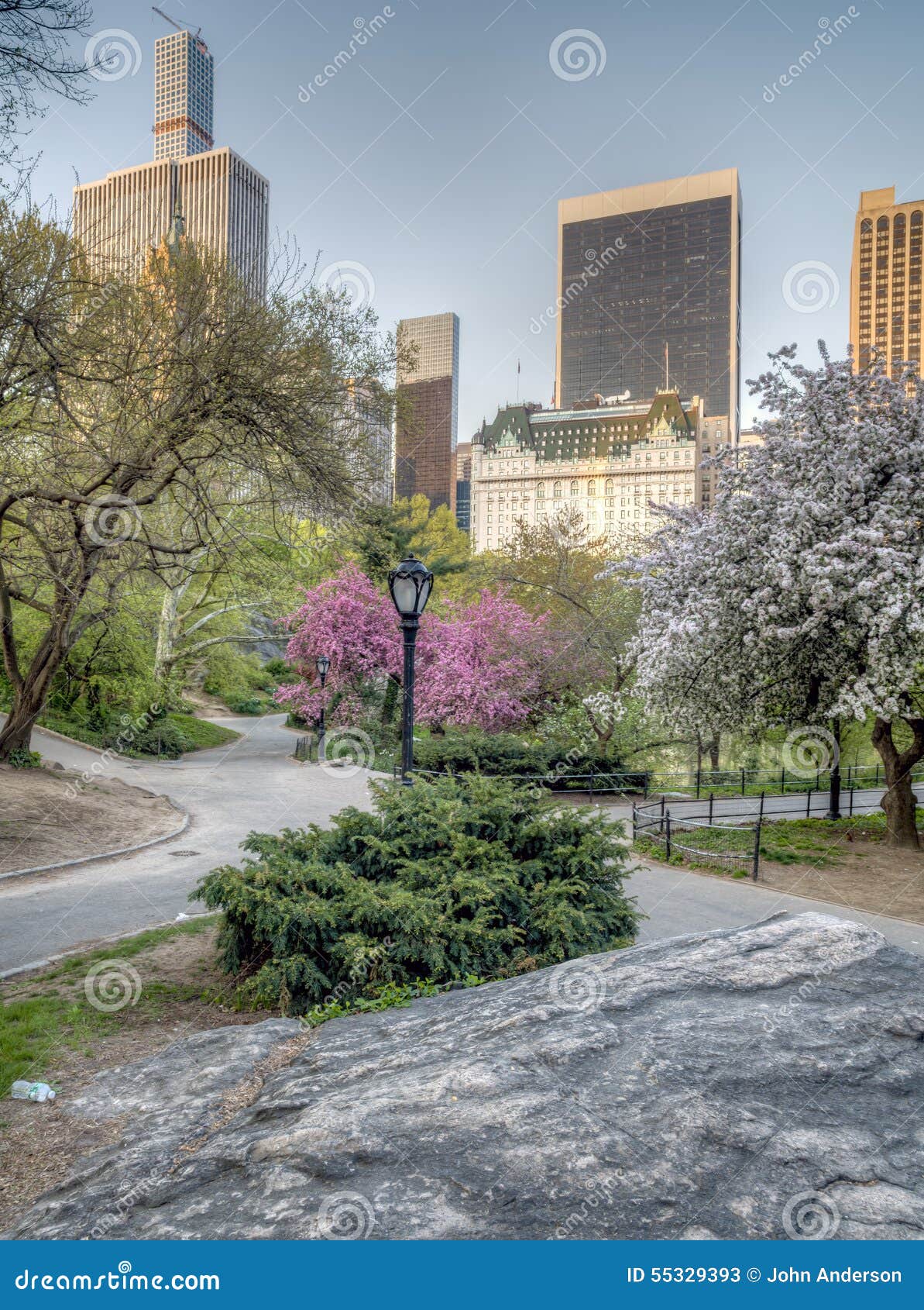 Central Park spring stock image. Image of city, manhattan - 55329393
