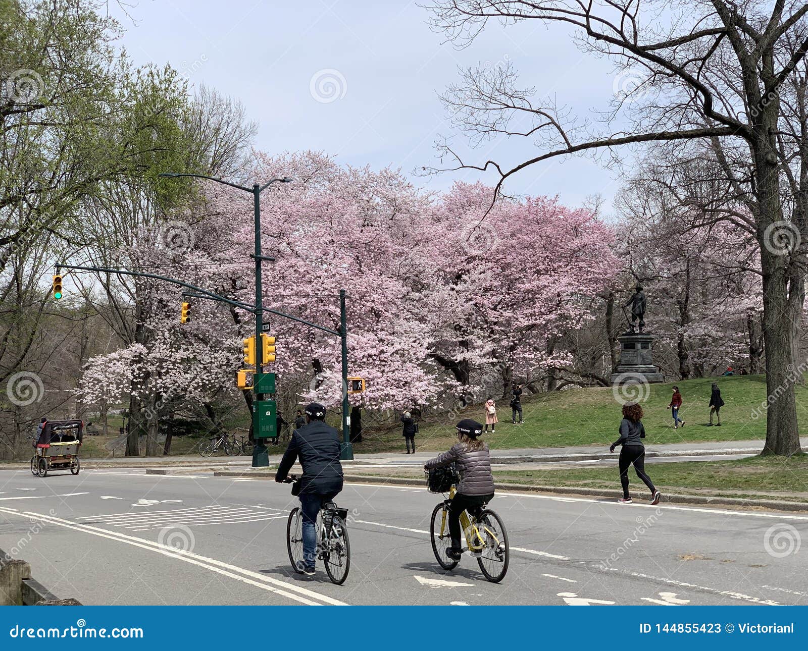 Central Park in the Spring, New York City, USA. Editorial Stock Photo ...