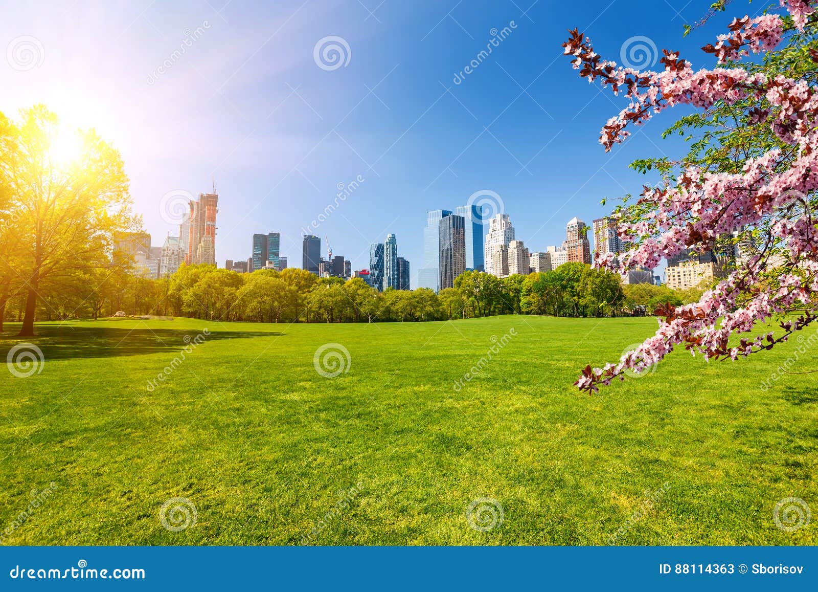 Central Park at Spring, New York Stock Image - Image of national ...