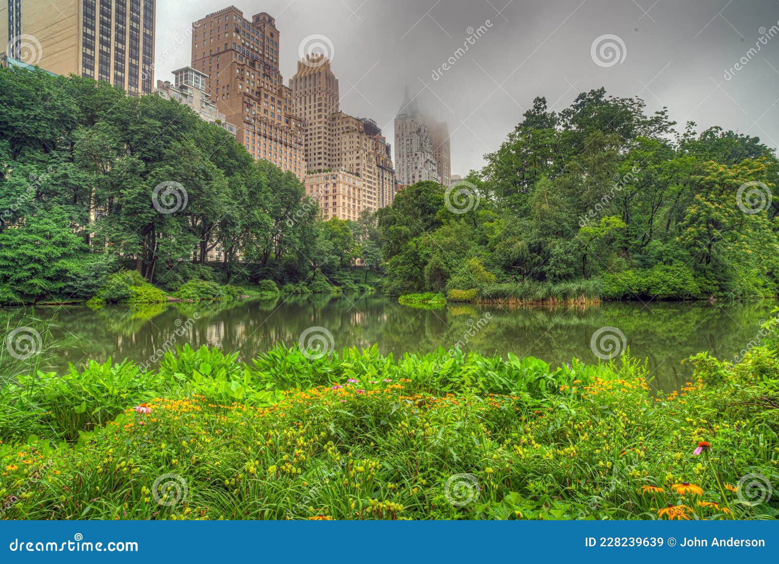Central Park summer stock image. Image of island, nature - 228239639