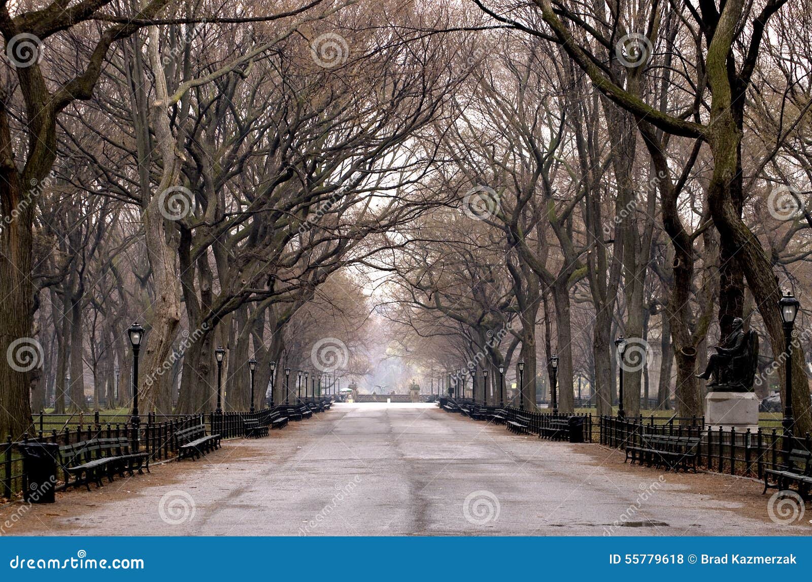 Central Park. stock photo. Image of city, life, landscape - 55779618