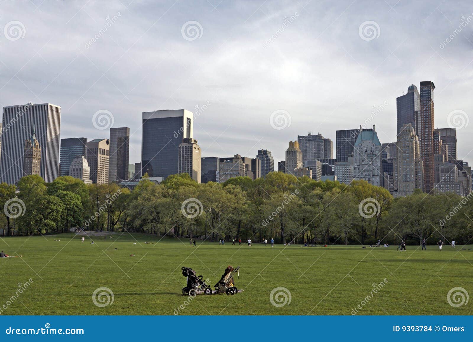 Central park view stock photo. Image of beautifully, leaves - 9393784
