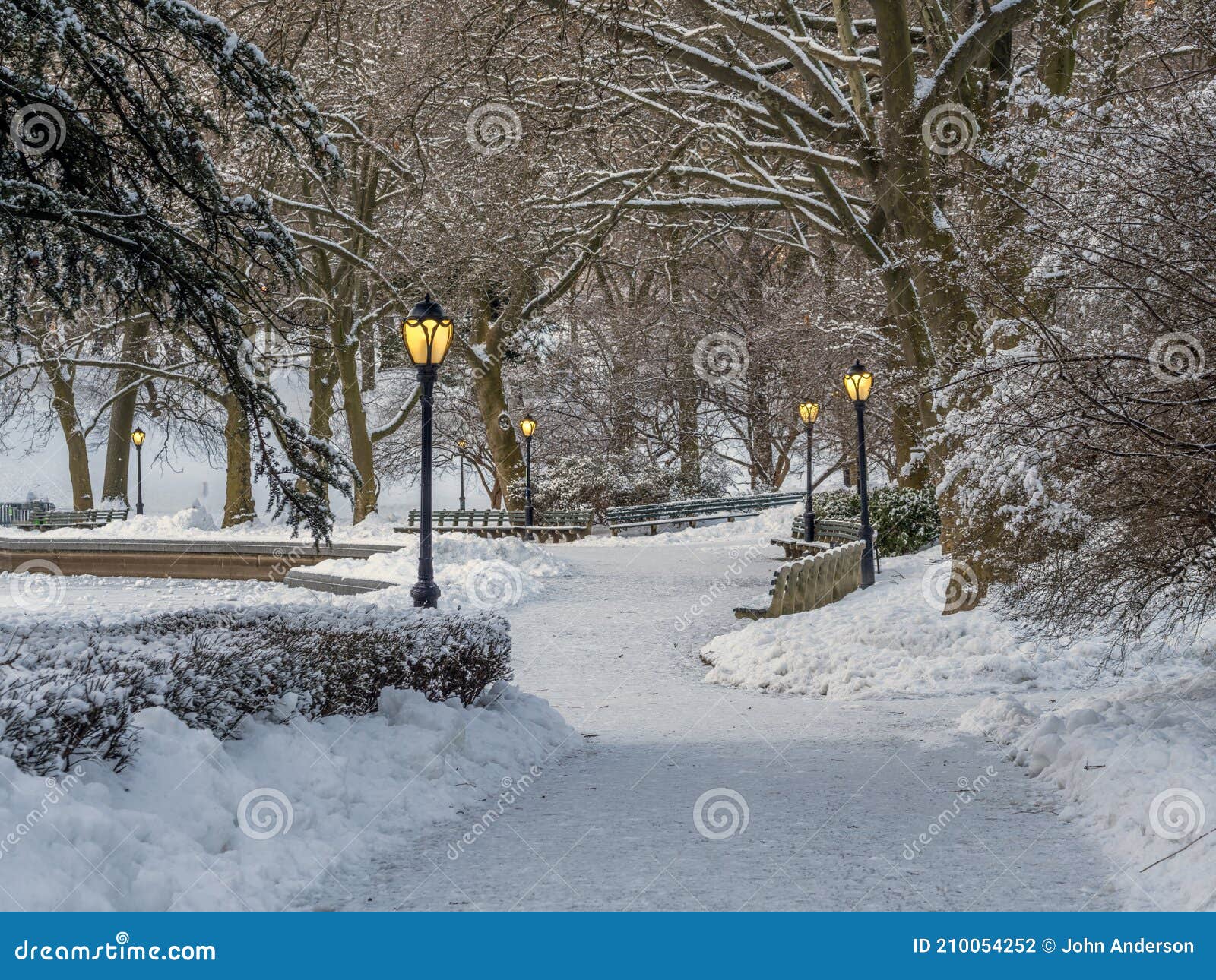 Central Park in winter stock photo. Image of city, manhattan - 210054252