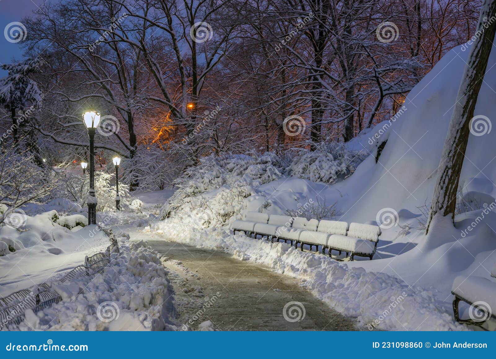 Central Park in Winter Snow Storm Stock Photo - Image of whitesunrise ...