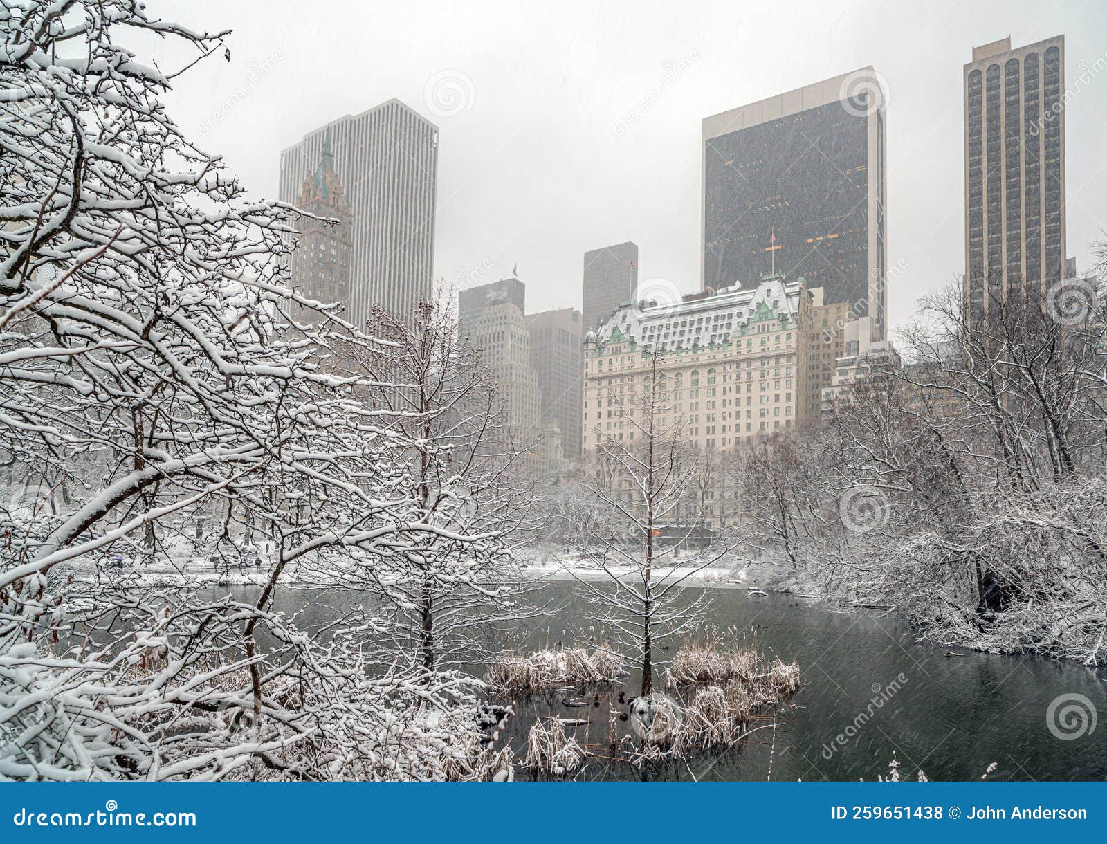 Central Park in winter stock photo. Image of season - 259651438