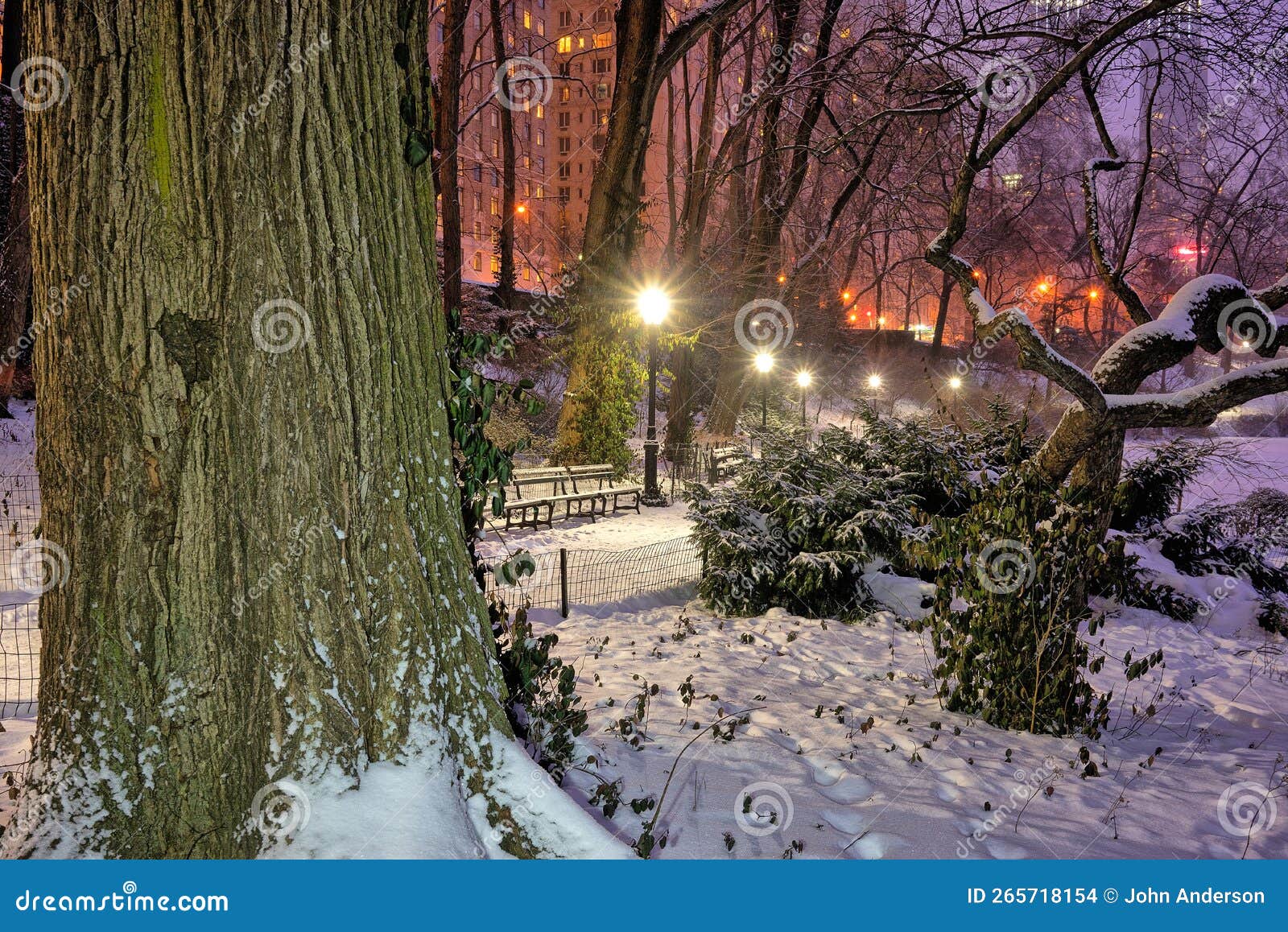 Central Park in Winter Snow Storm Stock Photo - Image of island ...