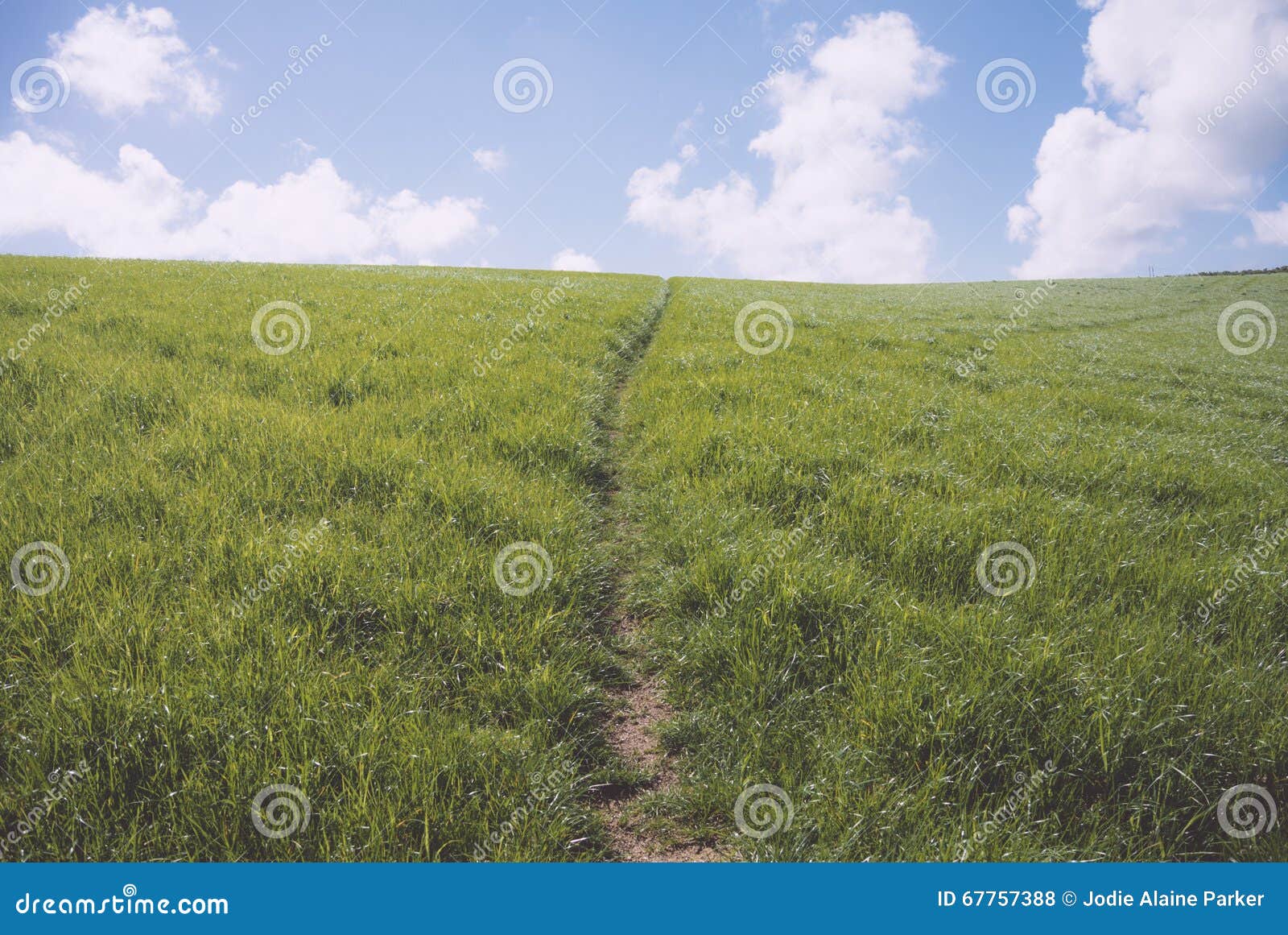 Central Path Made through Grass Hillside Stock Photo - Image of grass ...