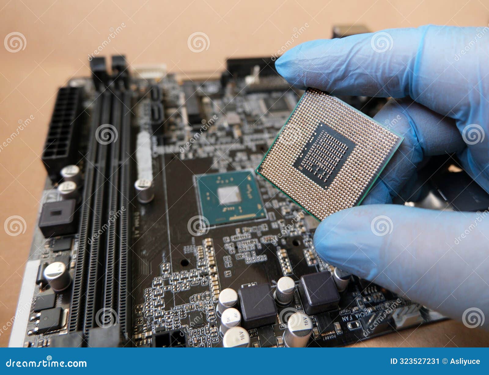 Computer Micro Processors in Technician Hand Stock Image - Image of ...