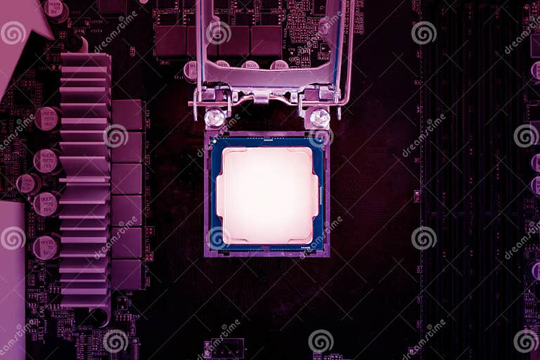 Central Processing Unit CPU Computer Server Motherboard Socket Computer Components Isolated on ...
