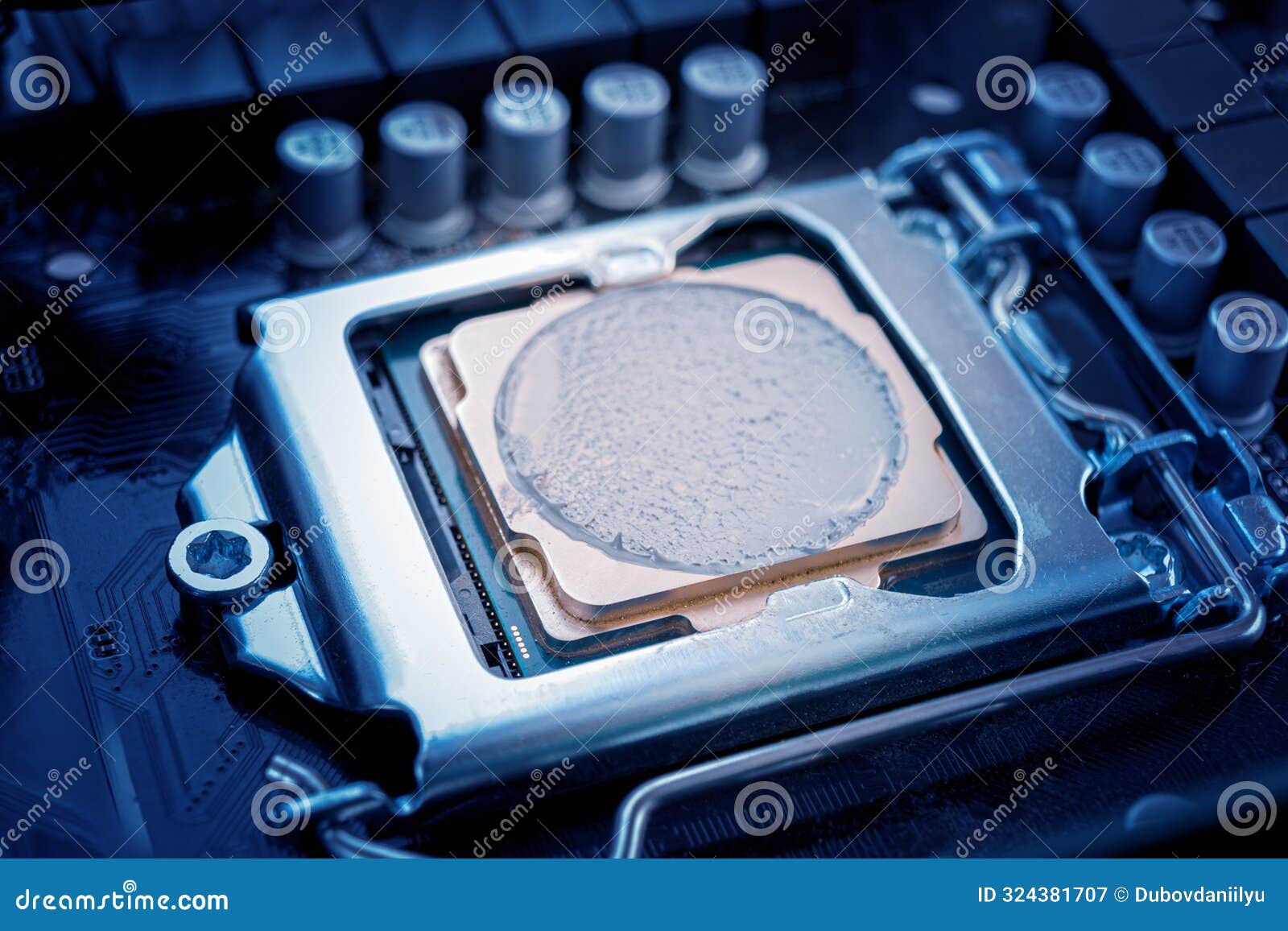 Central Processing Unit CPU Computer Server Motherboard Socket Computer Components Isolated on ...