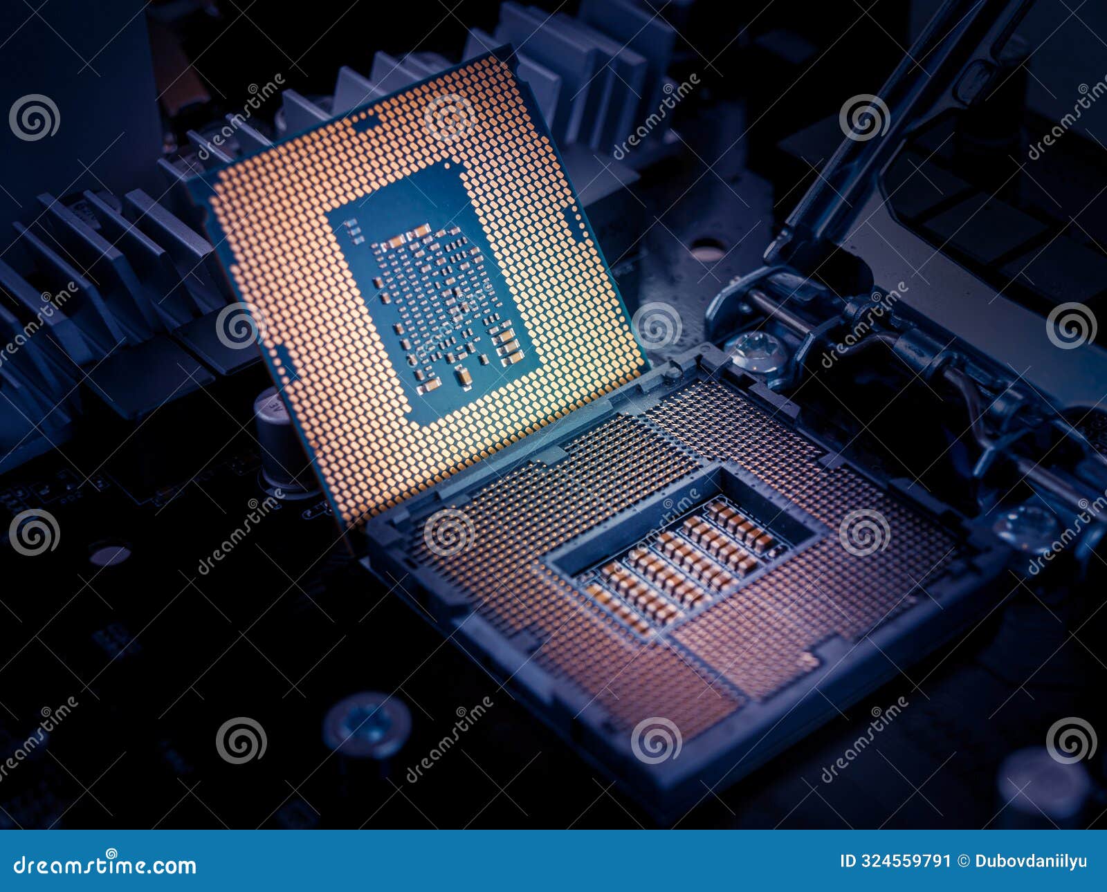 Central Processing Unit CPU Computer Server Motherboard Socket Computer Components Isolated on ...