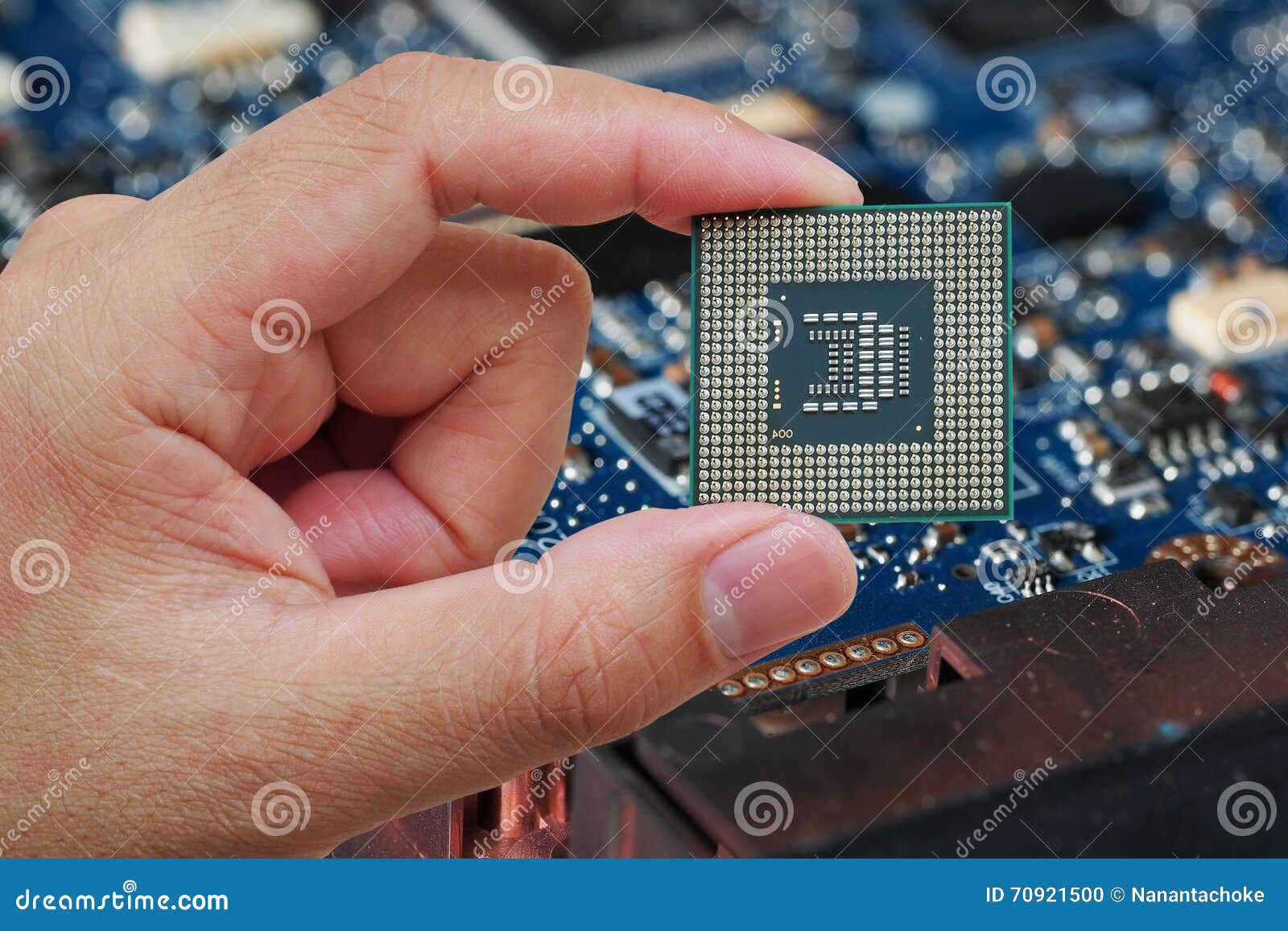 Central Processing Unit (CPU) in Hand Stock Photo - Image of component ...
