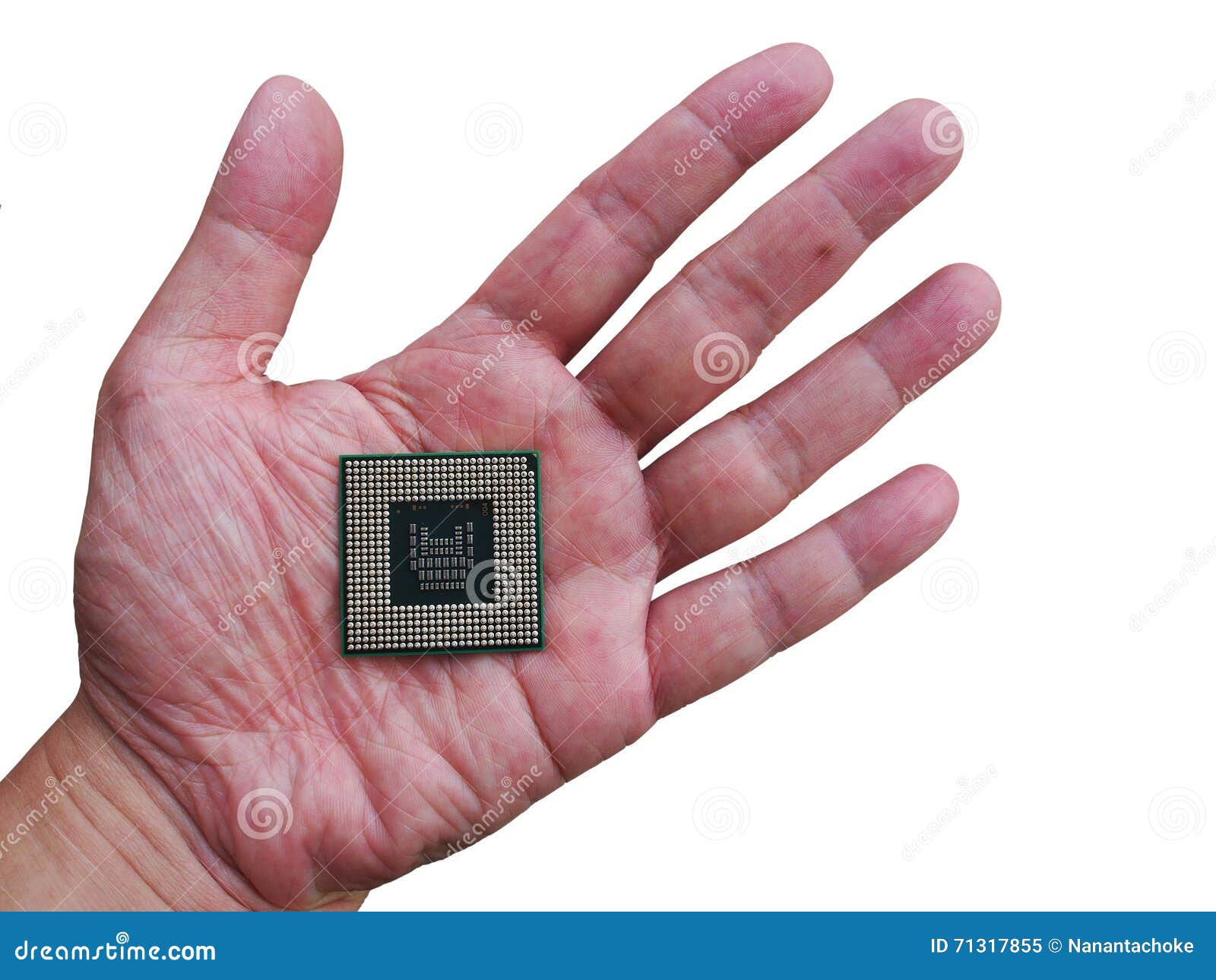 Central Processing Unit (CPU) in Hand Isolated on White Stock Image ...