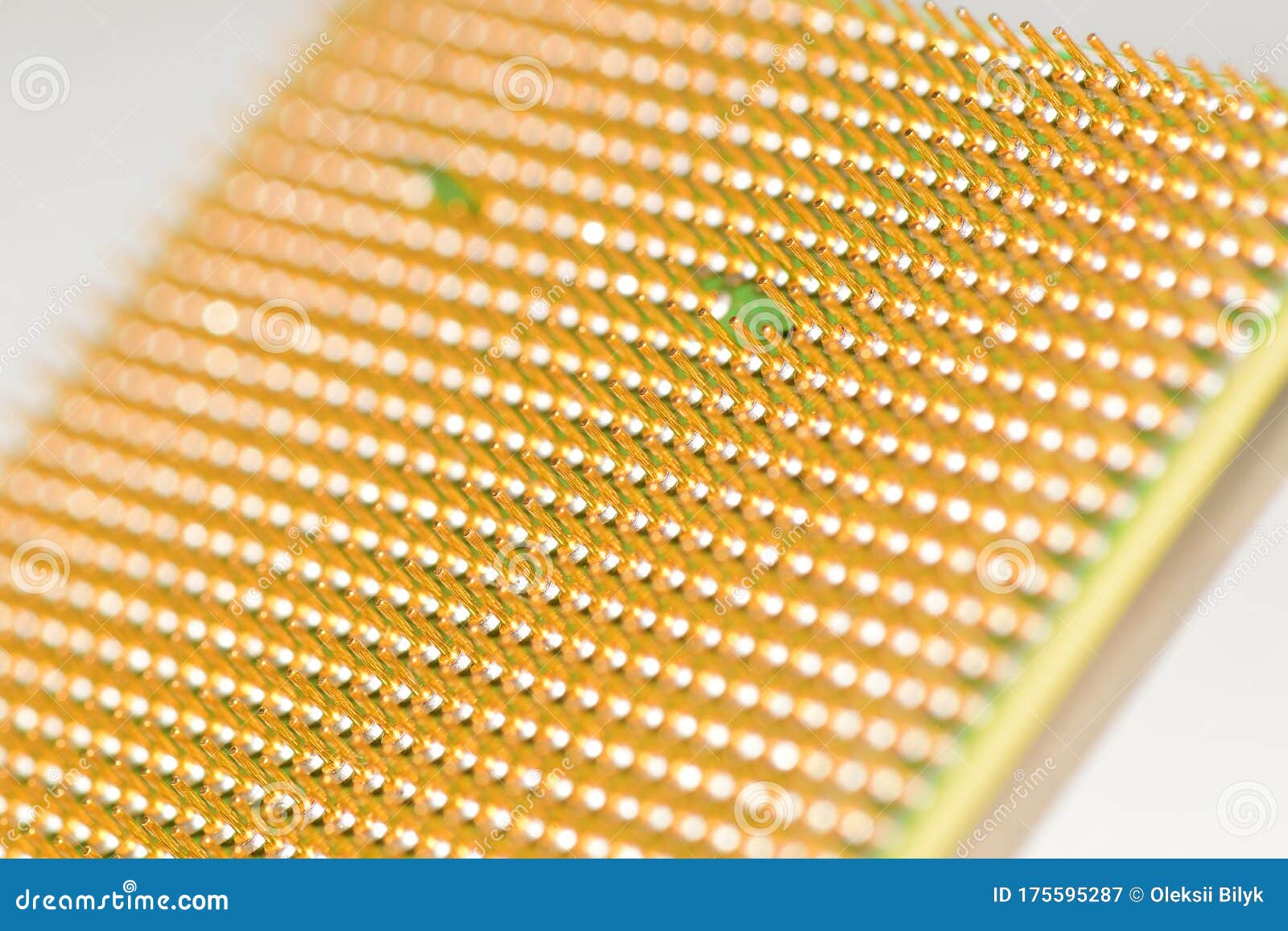 Central Processor Unit - CPU. Golden Pins of a Core. Shallow Depth of ...