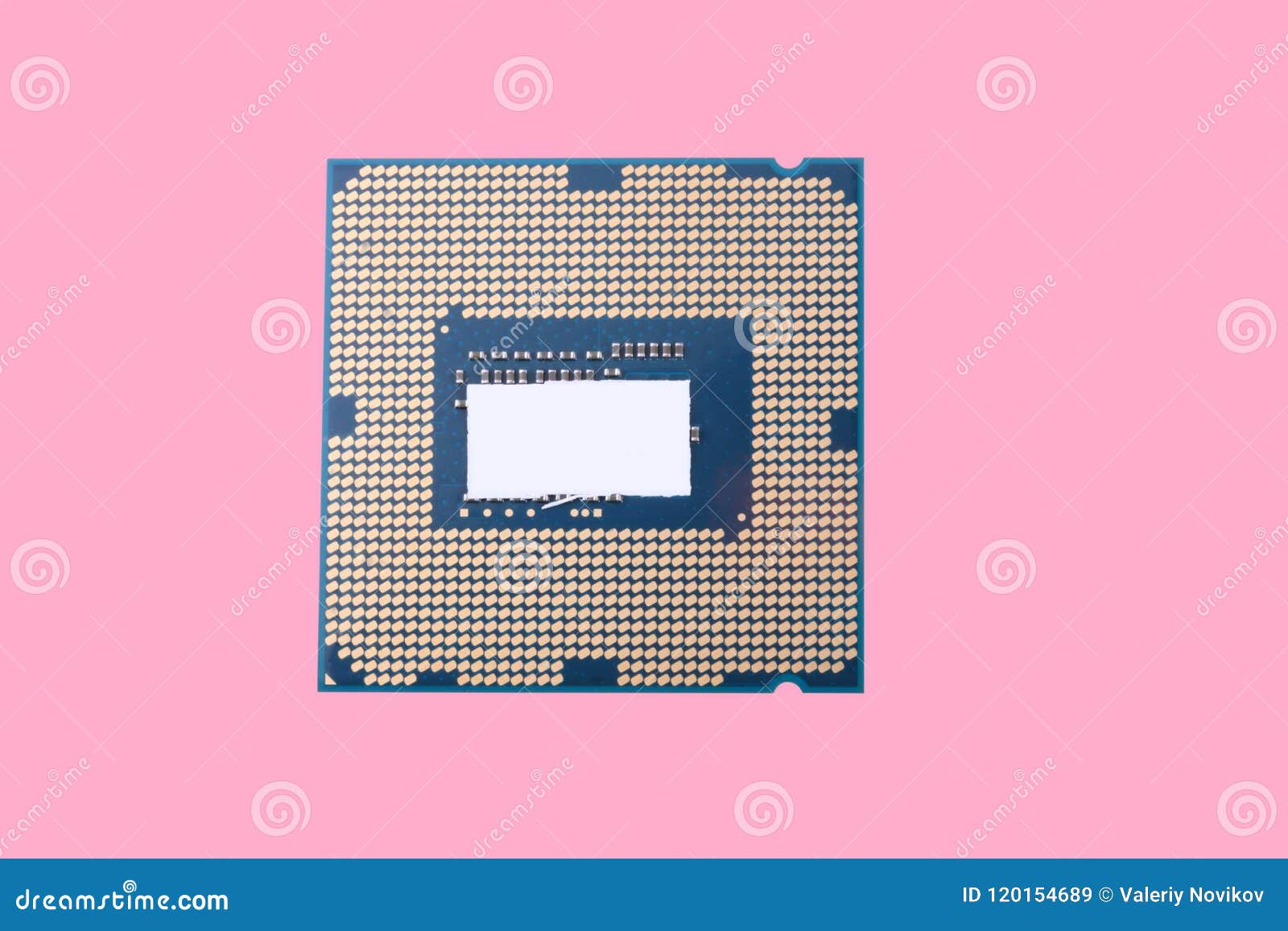 Central Processor Unit Isolated on Pink Background at Dry Sunny Stock ...