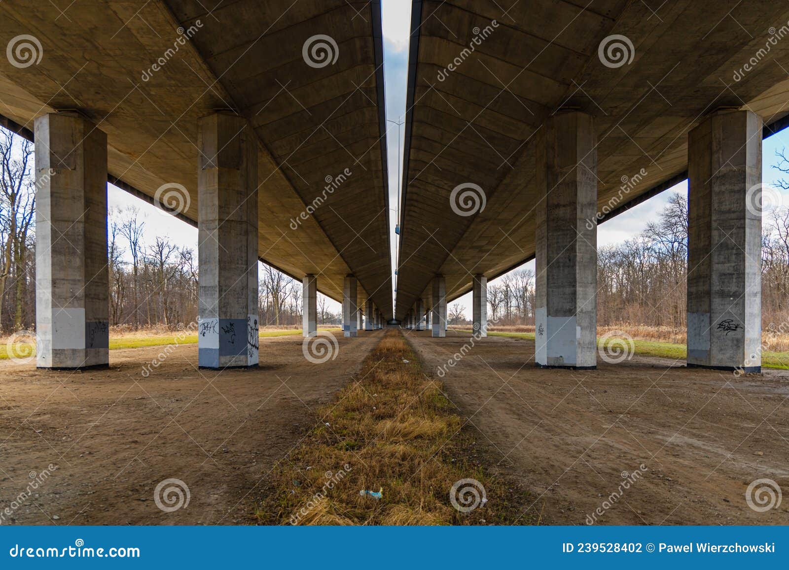 Central View from Under of Highway Bridge with High Pillars Stock Photo ...