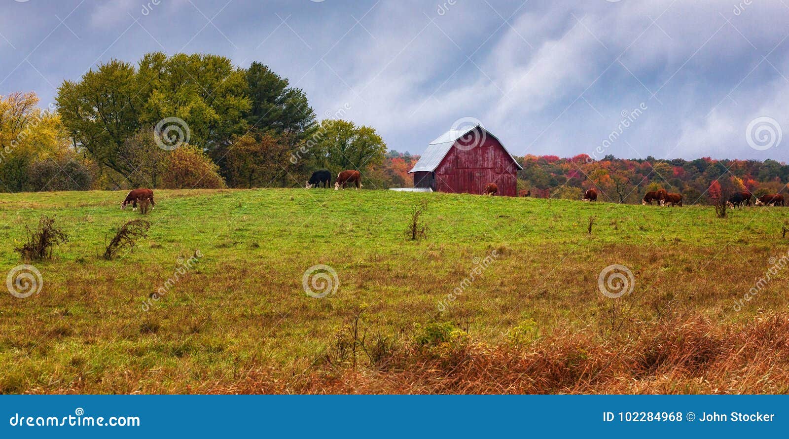 Central Wisconsin Farm stock photo. Image of americana - 102284968