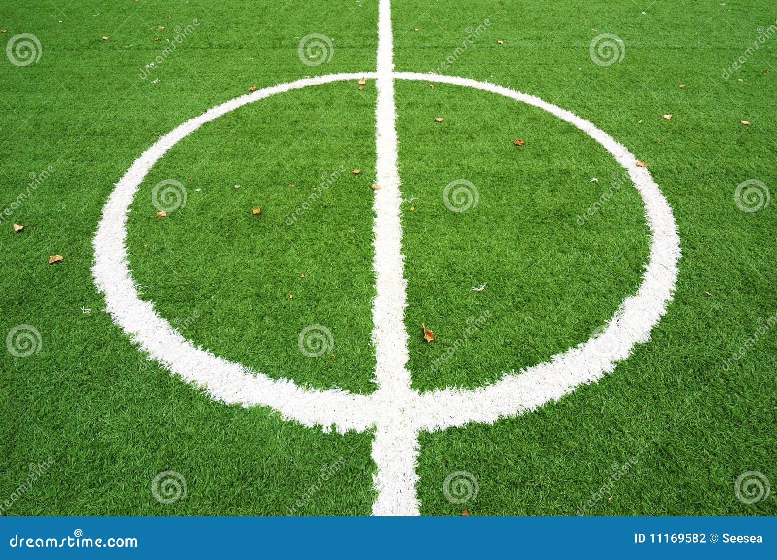 Centre line stock photo. Image of land, growth, background - 11169582