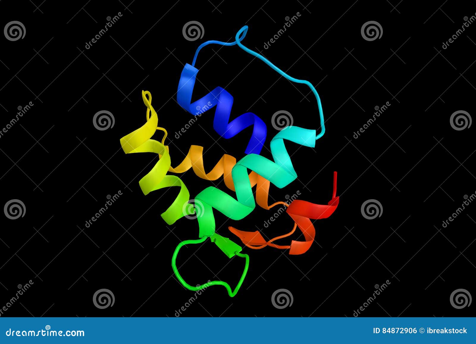 Centrin 1, a Protein Which Redistributes To the Region Stock ...