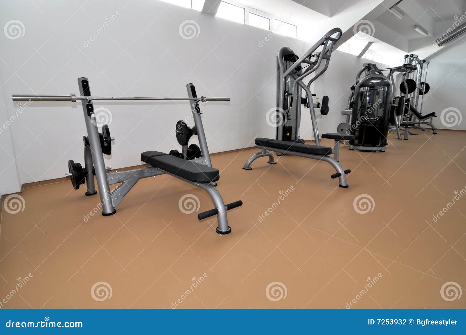 Centro do Bodybuilding foto de stock. Imagem de ferramenta - 7253932