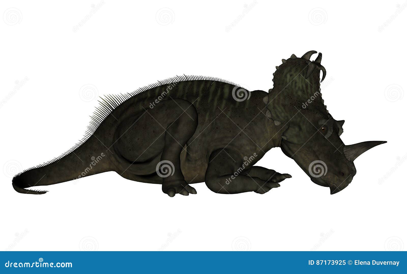 Centrosaurus Dinosaur - 3D Render Stock Illustration - Illustration of ...