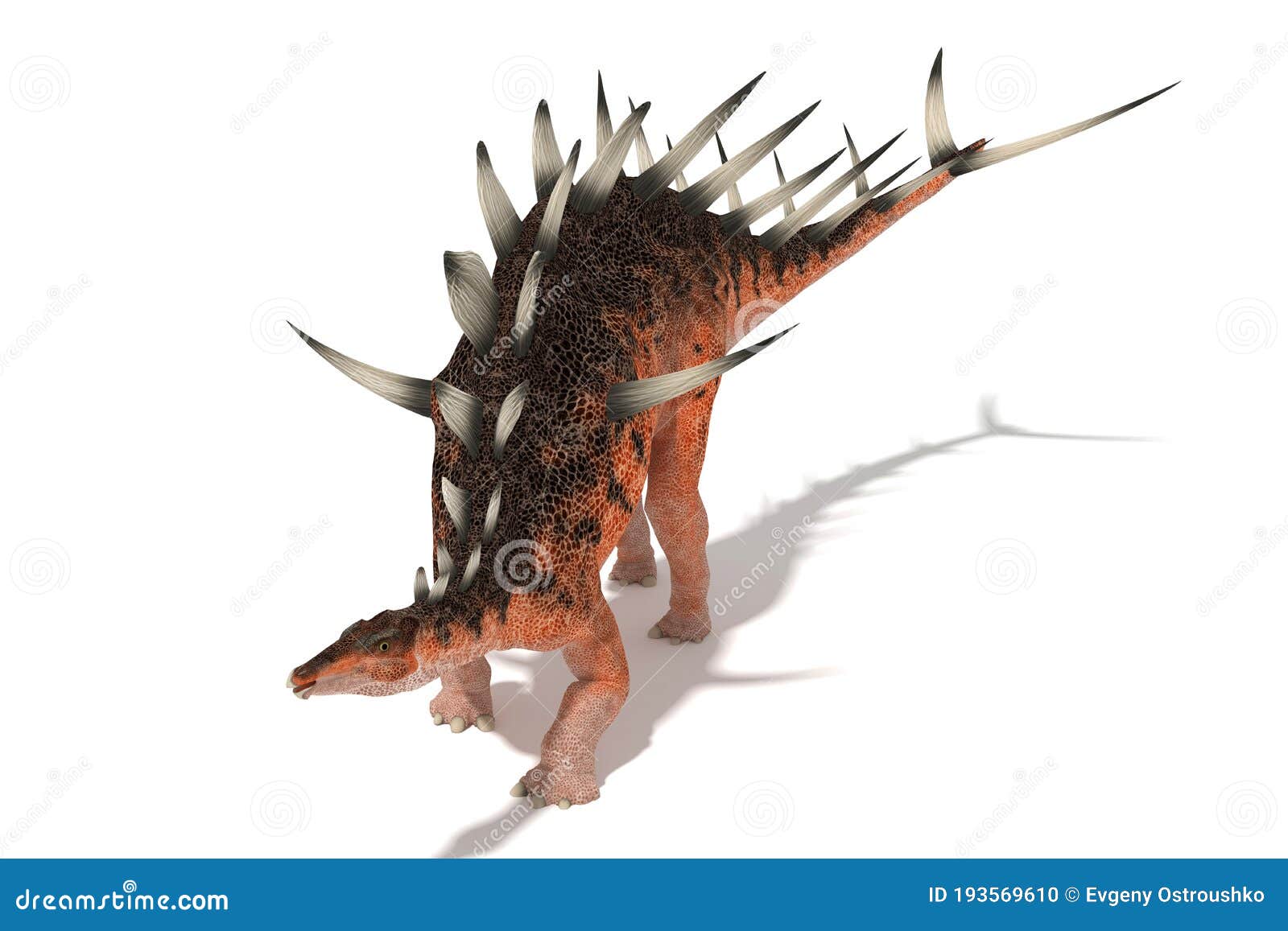 Centrosaurus Set of Angles on a White Background Stock Illustration ...