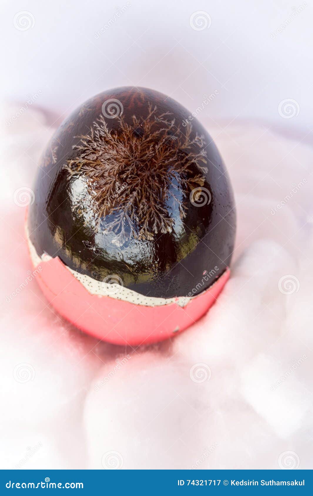 Century Egg Showing Pine Branch Patterns Stock Image - Image of black ...