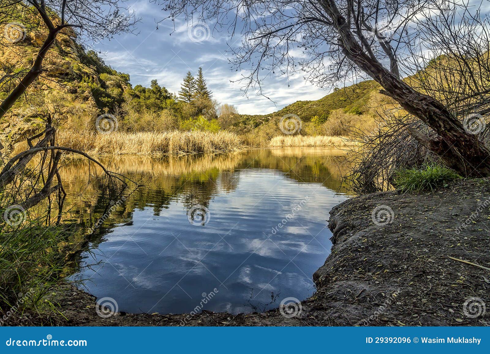 Century Lake Horizontal stock photo. Image of water, reflection - 29392096