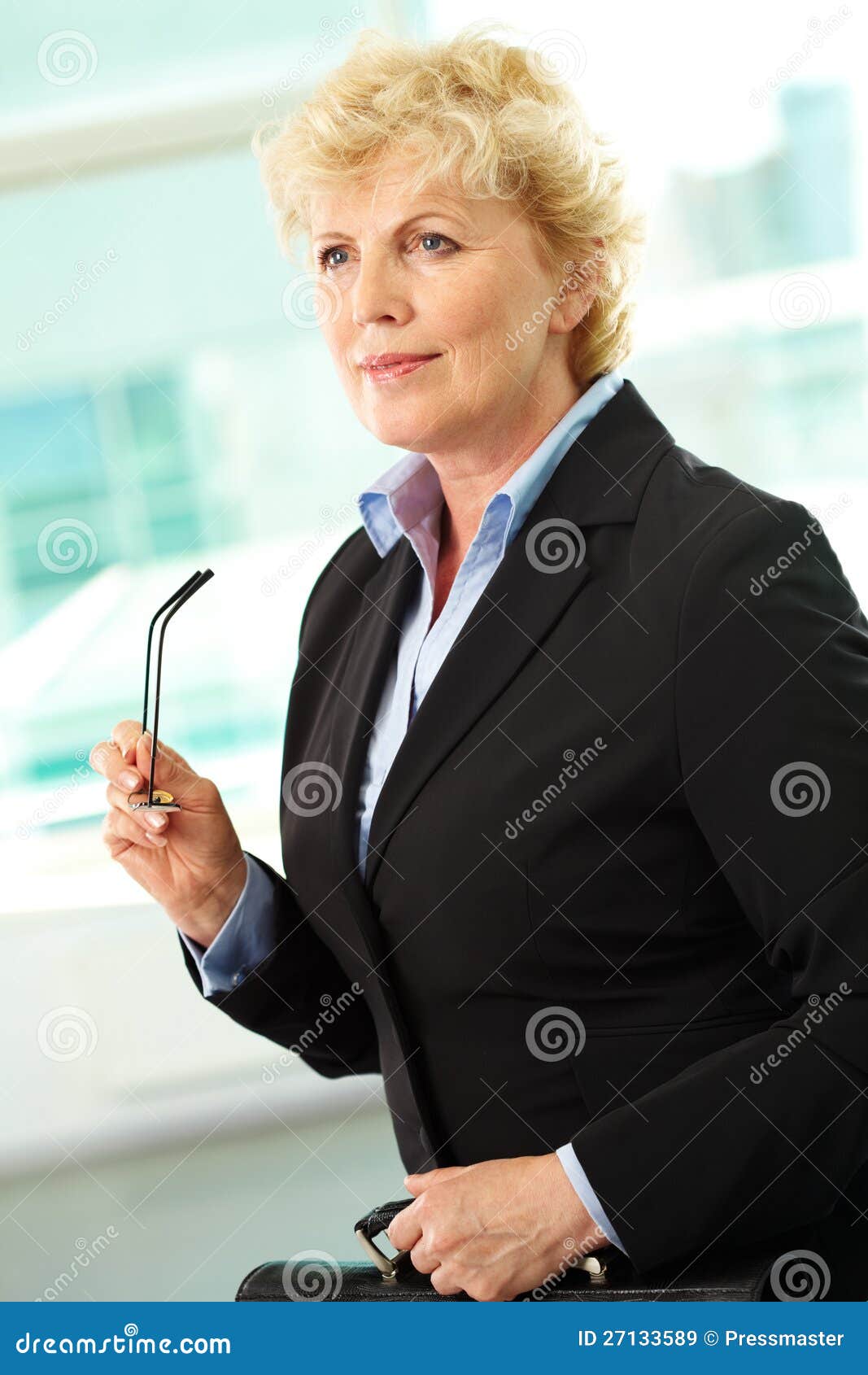Ceo stock image. Image of beautiful, lovely, people, business - 27133589