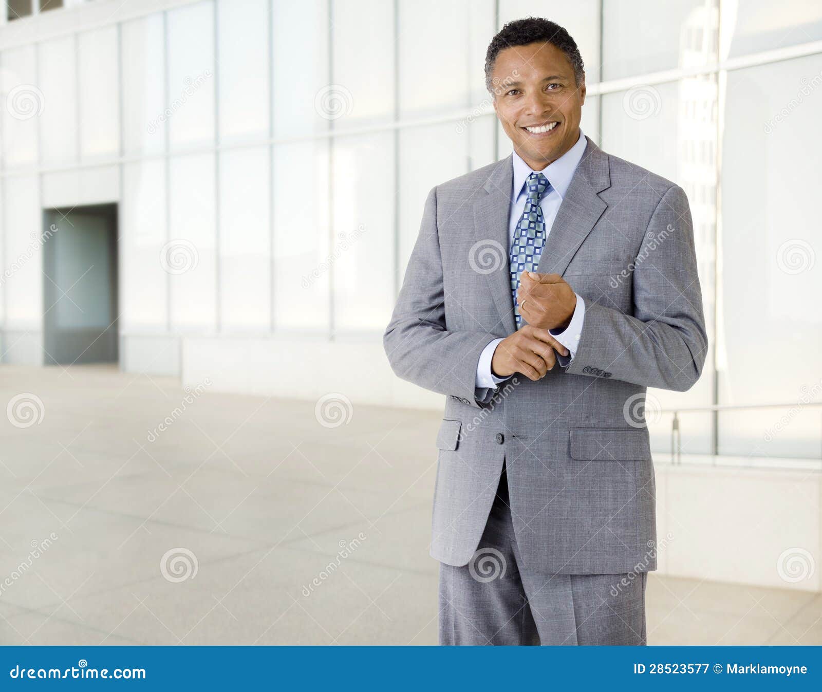 CEO stock image. Image of smiling, executive, attire - 28523577