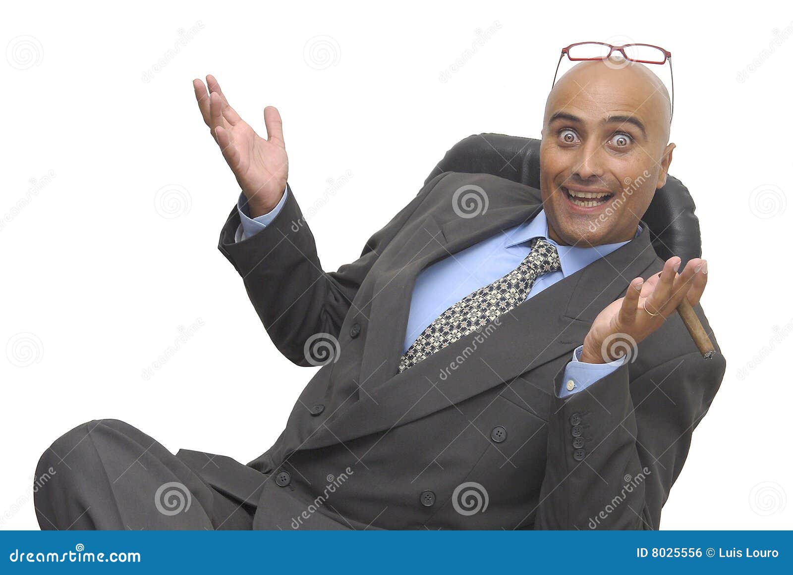 CEO stock photo. Image of shirt, modern, caucasian, executive - 8025556