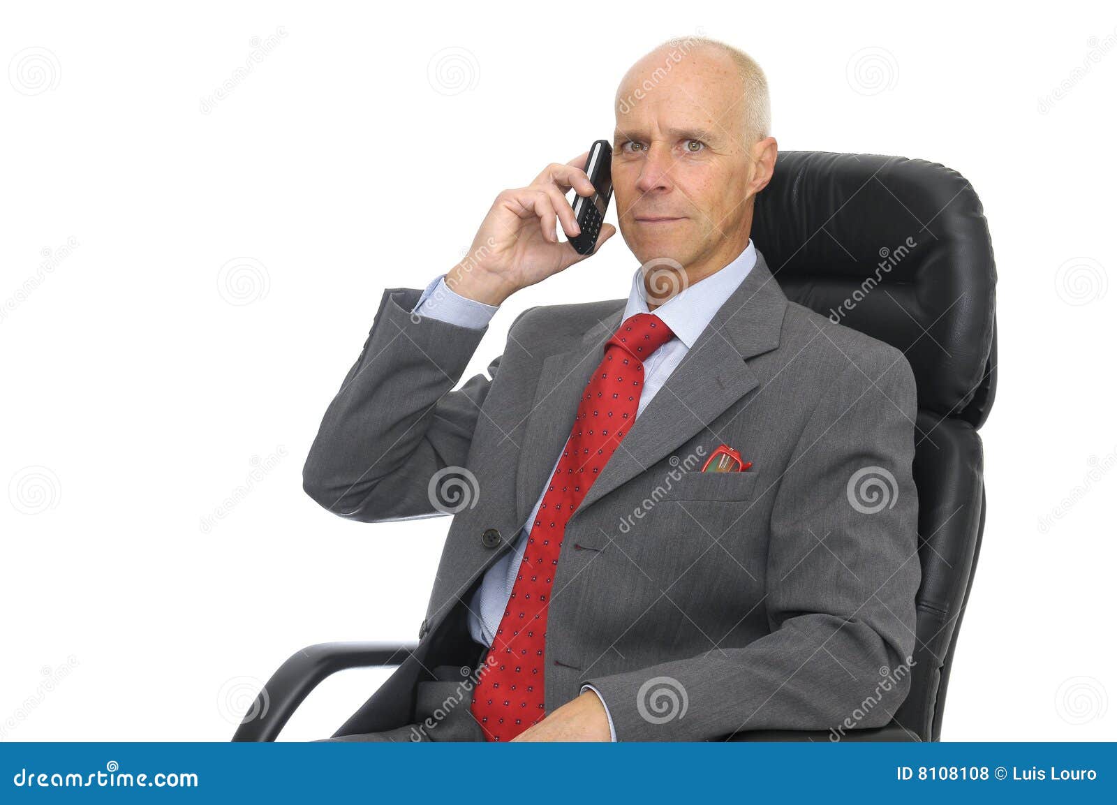 CEO stock photo. Image of modern, personal, professional - 8108108